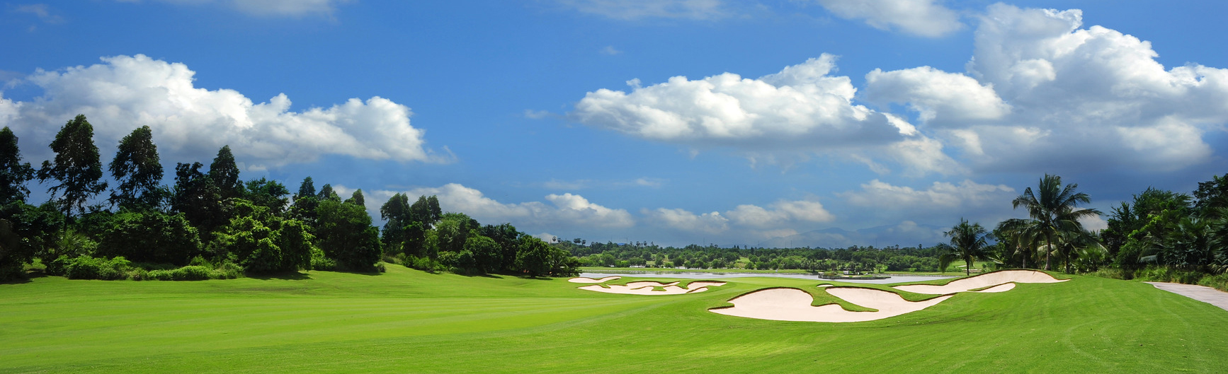 Golf Course - Promaster Plus